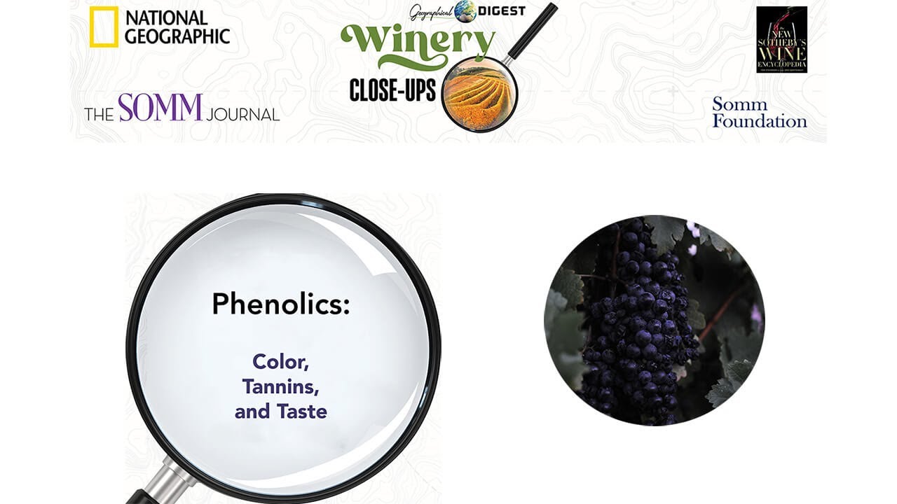Phenolics: Color, Tannins, and Taste - The Somm Journal